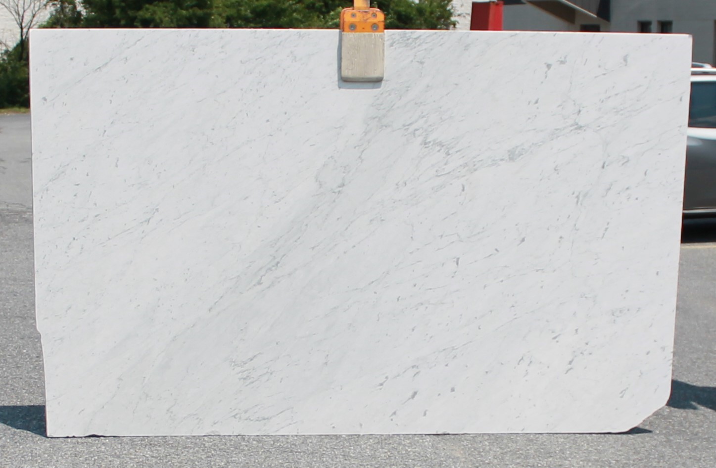 Statuarietto - Earth Stone Slabs